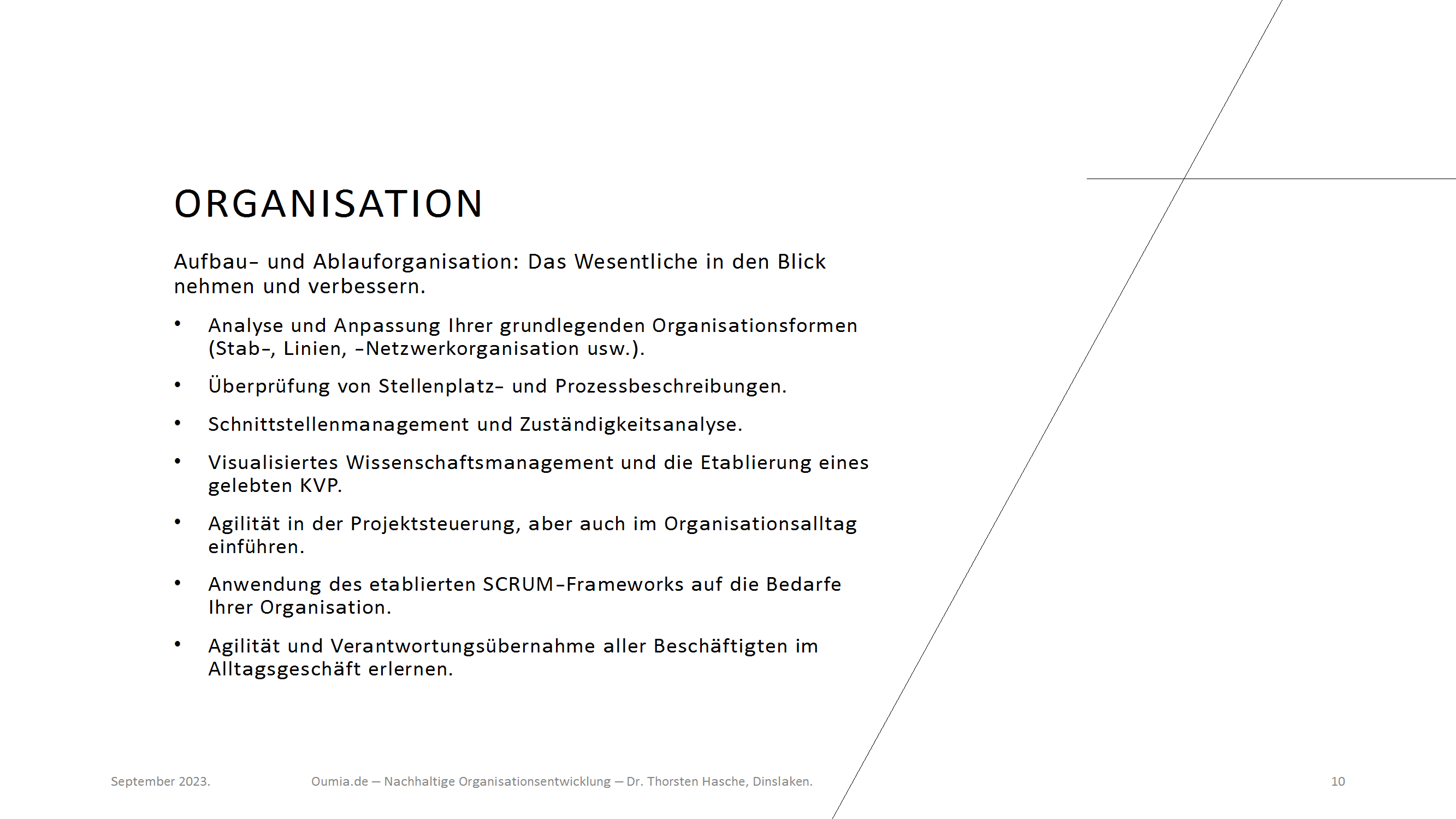 Dr. Thorsten Hasche - Expertise für nachhaltige und agile Organisationsentwicklung - Konzept